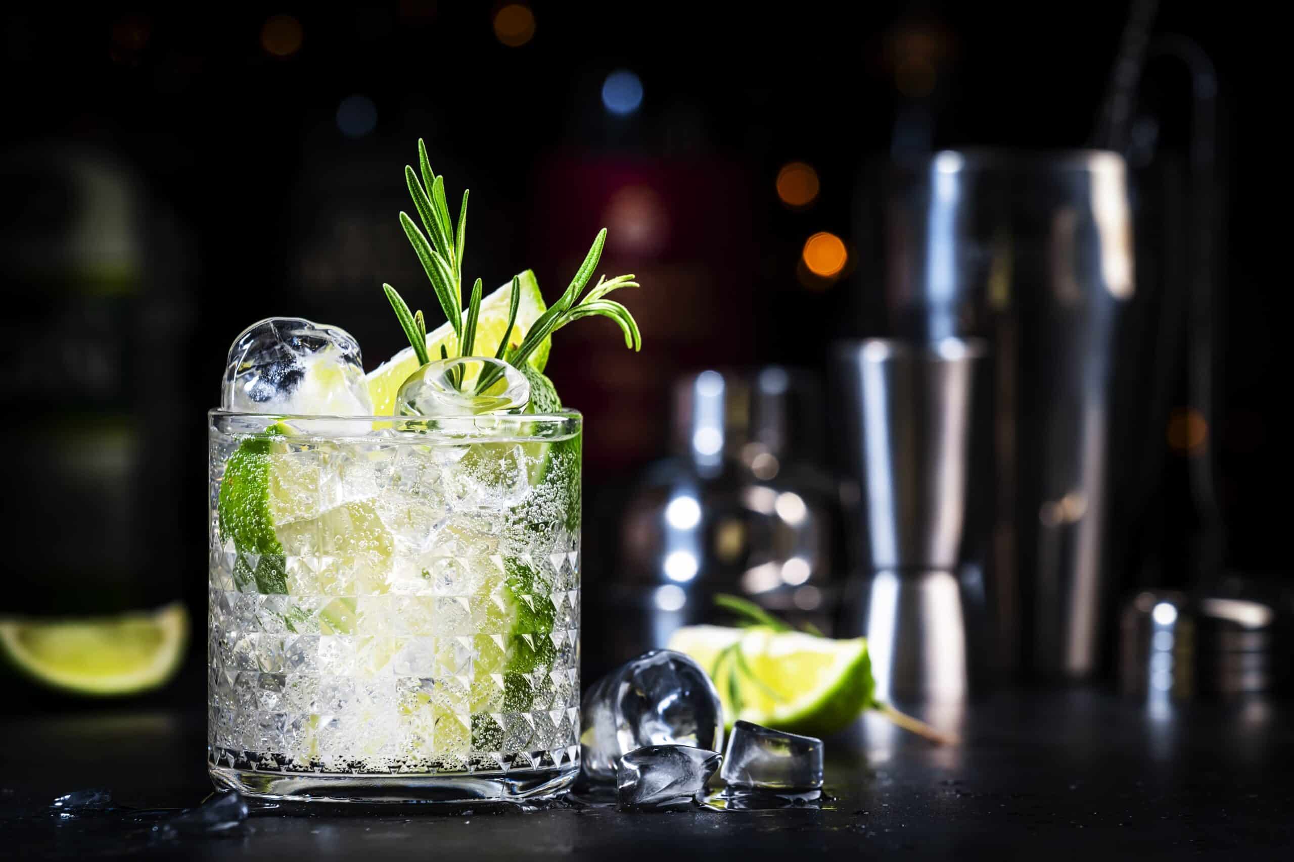 Comment boire le Gin ? Guide pour savourer un bon Gin
